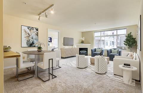 Luxurious Bellevue Apartments for Modern Living | Essex