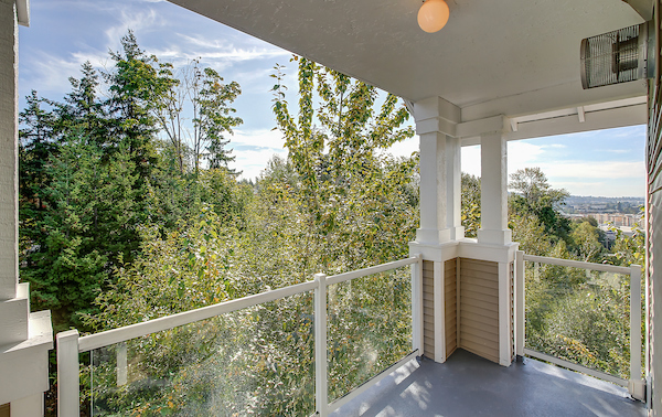 Pinnacle on Lake Washington Features & Community Amenities